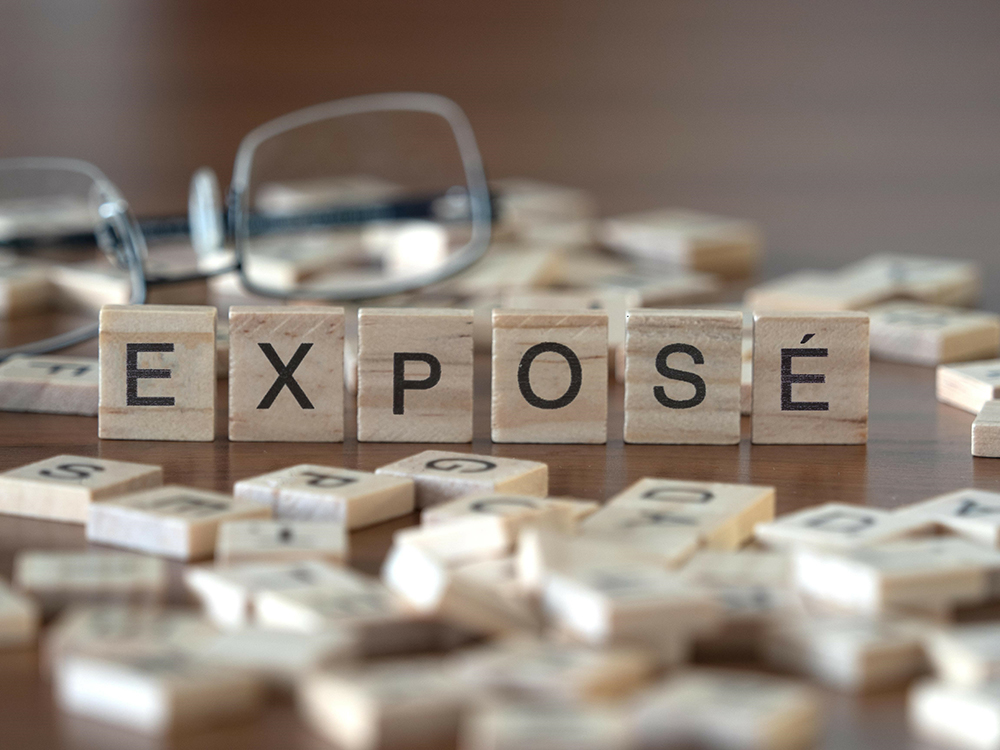 Dein Exposé in 9 Schritten - Tolino Media